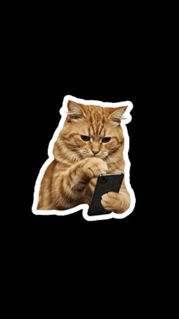 ШАБЛОНЫ на PYTHON для ЕГЭ