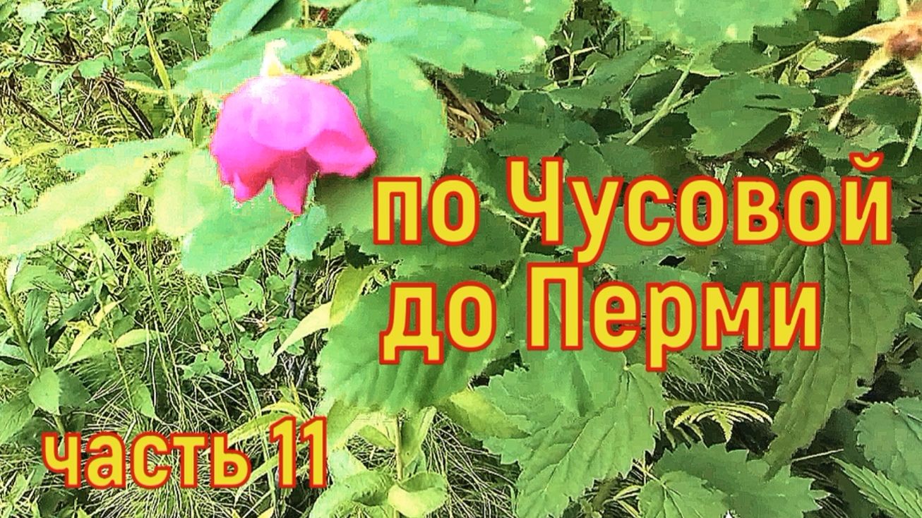 Сплав по Чусовой 600км до Перми часть 11