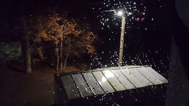 20-11-2025 дождь за окном осень