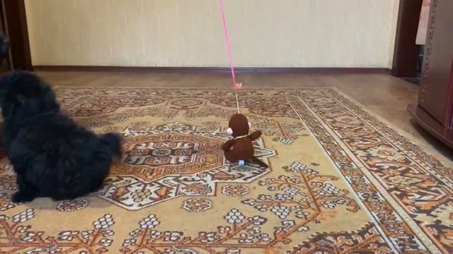 WhatsApp Video 2025-11-20 at 17.51.15