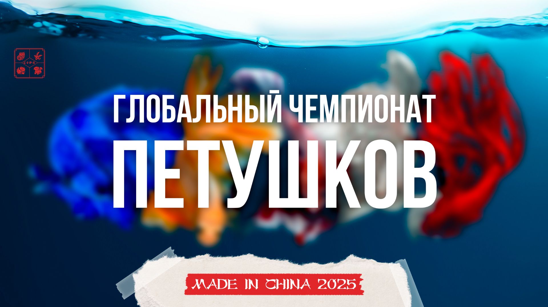 Глобальный чемпионат петушков в Китае