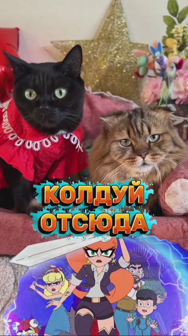 Колдуй отсюда😸 #мультсериал #комедия #котики