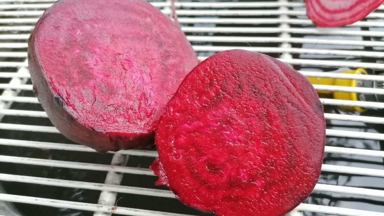 🥗 Сорта свеклы, описания, характеристики, фото