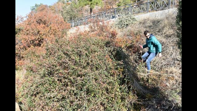 Галата. Церковь Панагия Подиту  8 декабря 2016