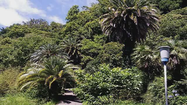 Абхазия ...( из неопубликованного )