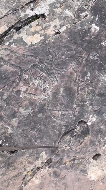 Петроглифы на Алтае