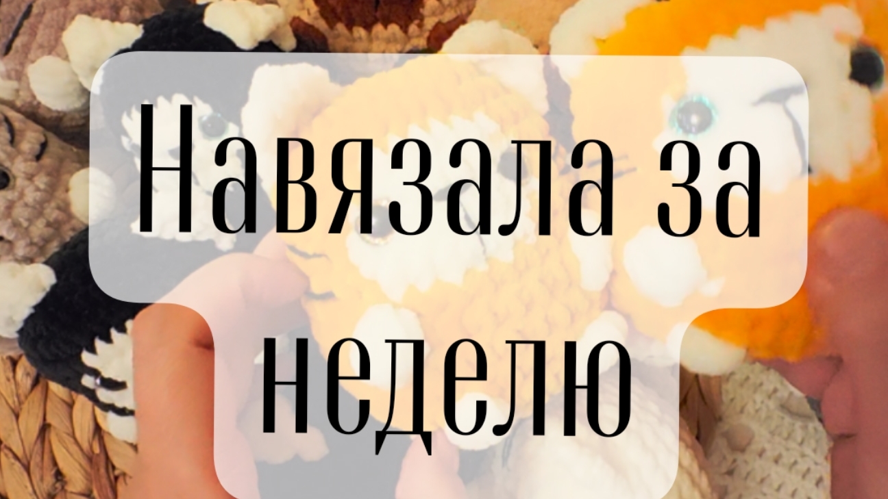 вязовлог 46/2025 навязала за неделю