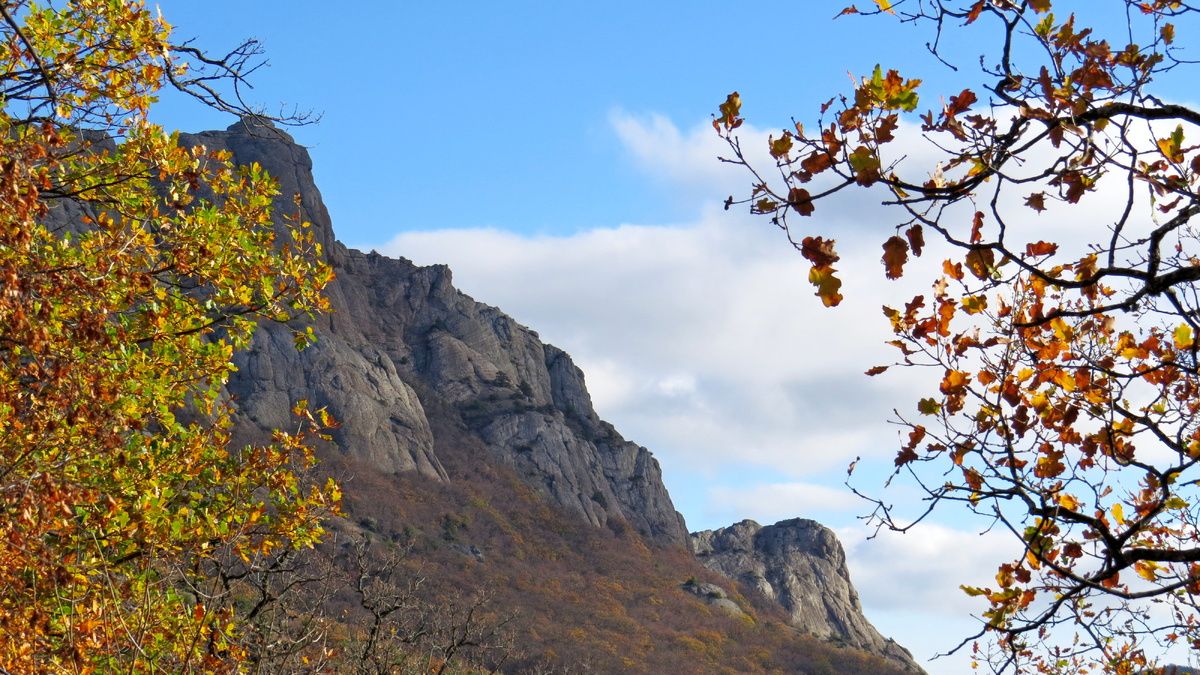 Скалы и козы урочища Кизилташ.