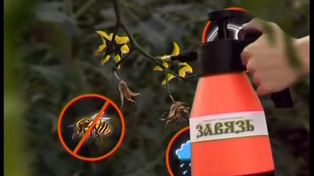 Завязь - забота об урожае