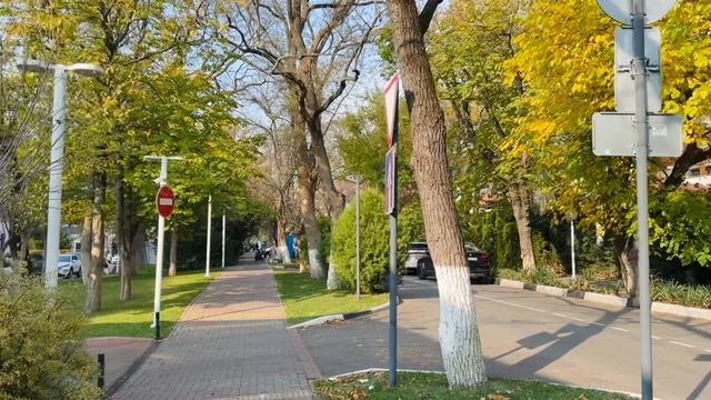 Бабье лето в ноябре