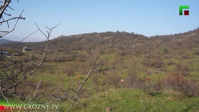 Cвоя ферма. Герой Им-Али Симиев. Эфир от 2025.11.19