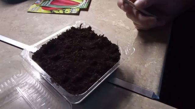 Посев  перца на рассаду для  получения раннего урожая