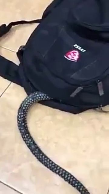 Нежданчик😁