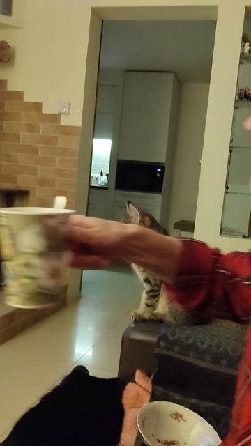 Кино и семья.