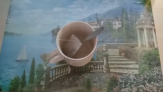 90 ДНЕЙ В КОМПАНИИ КОШЕЧЕК АШЕТ ЗАКОНЧЕННЫЕ РАСКРАСКИ