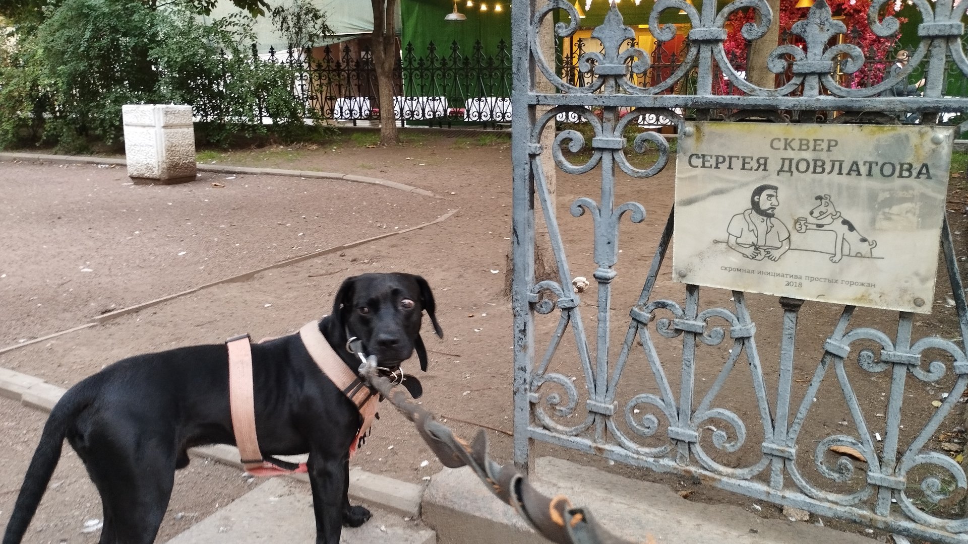 ДеньД @ Сергей Довлатов @ Авторадио @ Волонтеры @ Жил Был Пёс @ Моя Жизнь Кино @ Музей Псов