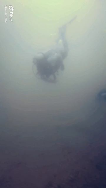 Рэк-дайвинг в Дубае, дайвинг в Дубае, дайвинг в Эмиратах