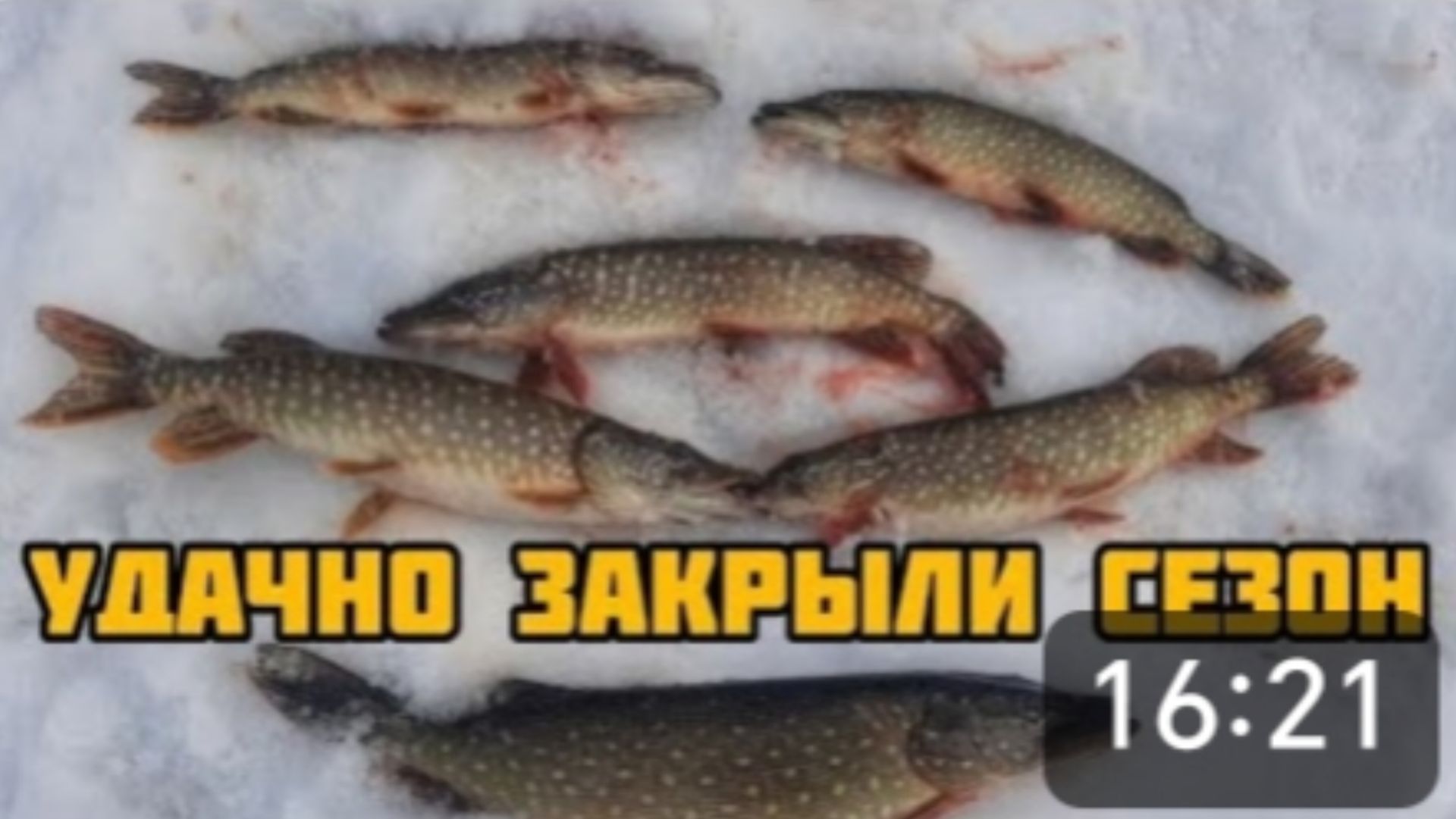 СРАБОТКИ ОДНА ЗА ДРУГОЙ 🎣 УДАЧНО ЗАКРЫЛИ СЕЗОН 🐟 РЫБАЛКА В ТАМБОВСКОЙ ОБЛАСТИ. РЫБАЛКА 68