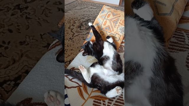 Рассказ "Добрый человек"
автор - Олег Бондаренко