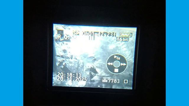 Для чего нужно оцифровывать видеокассеты?