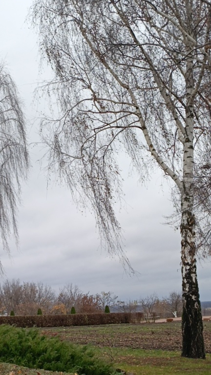 20-11-2025в Муром и незабываемая экскурсия.