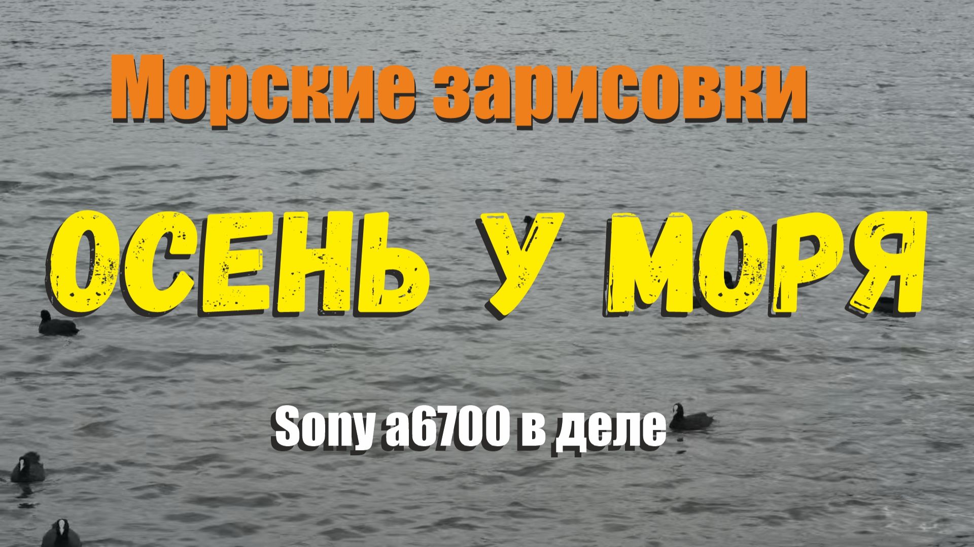 Осень у моря