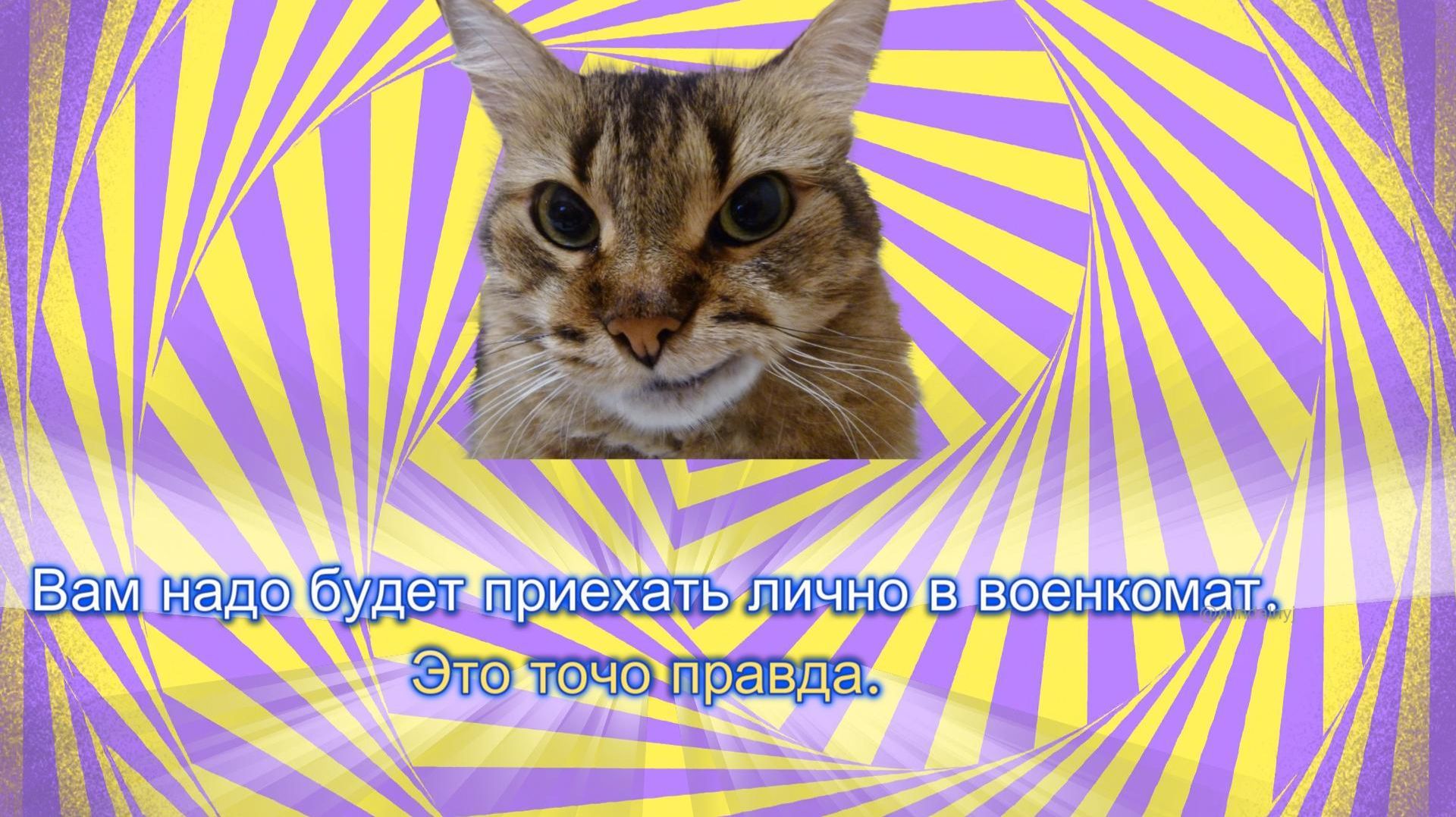 Мошенники позвонили якобы из военкомата