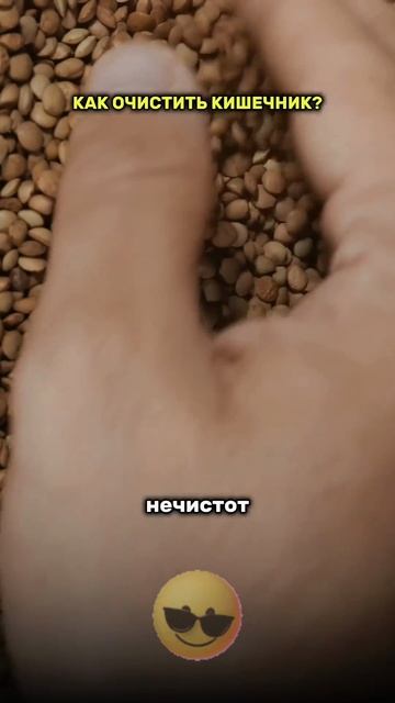 Здоровый Кишечник + Здоровое Тело 🫶😎