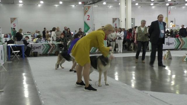 Класс ветеранов