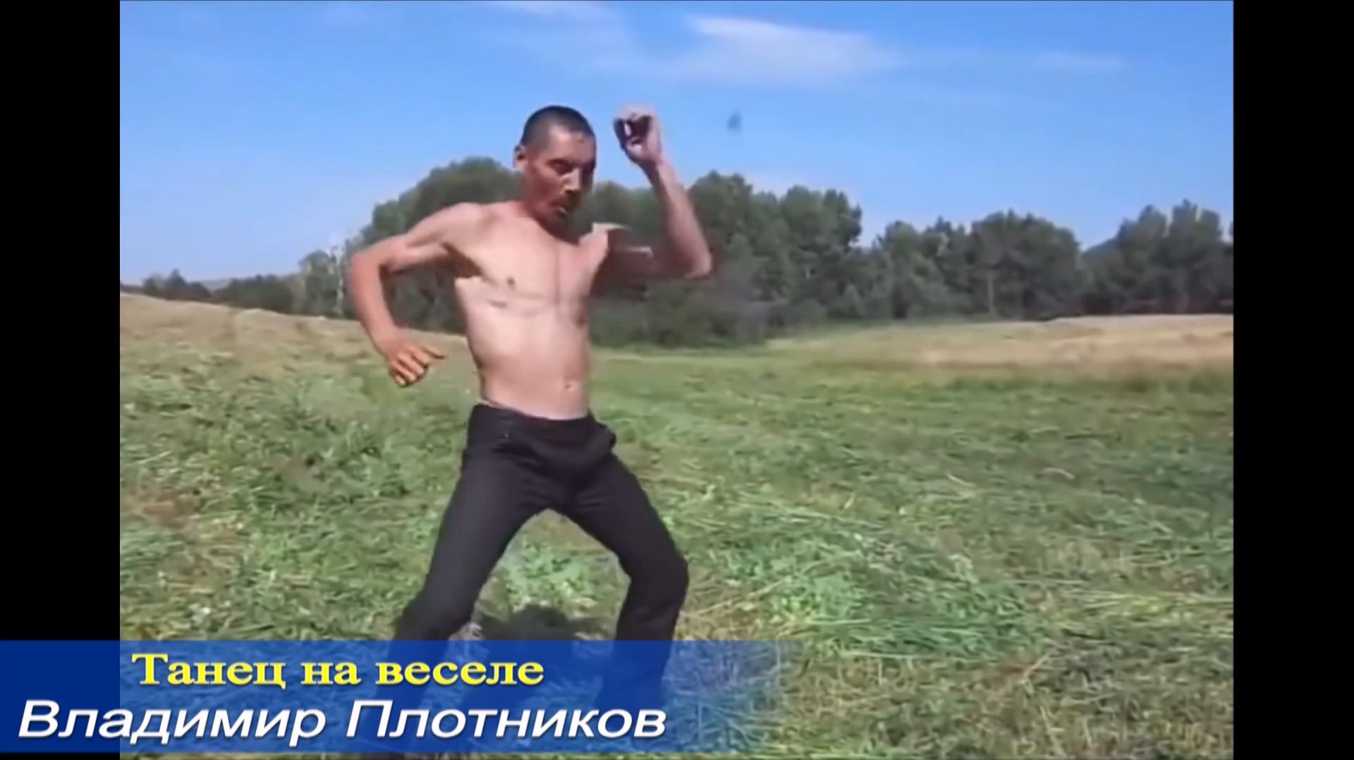 Юмор от Владимира Плотникова.