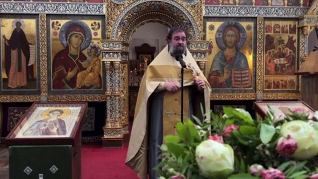 Бабы стали дохлые, трусливые, развратные и не хотят рожать