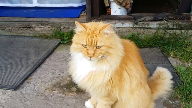 14-Дача..отдых на фазенде.