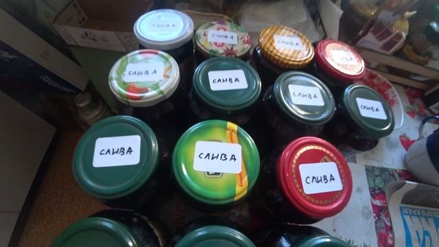 33-2023 Меняю документы _ Заготовки _ Новая стрижка _ Обзор покупок __ Elena Pero