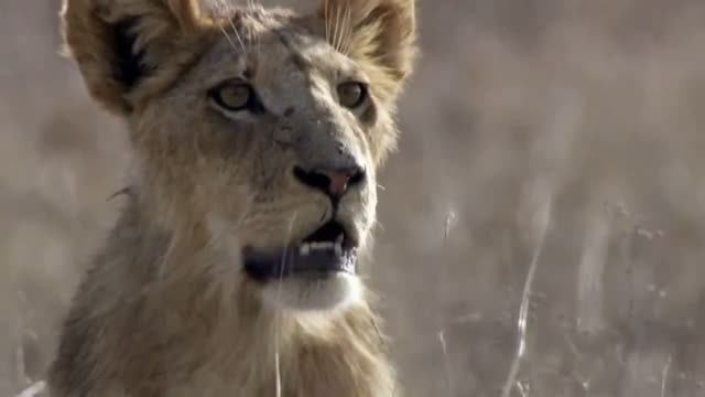 Завораживающая планета