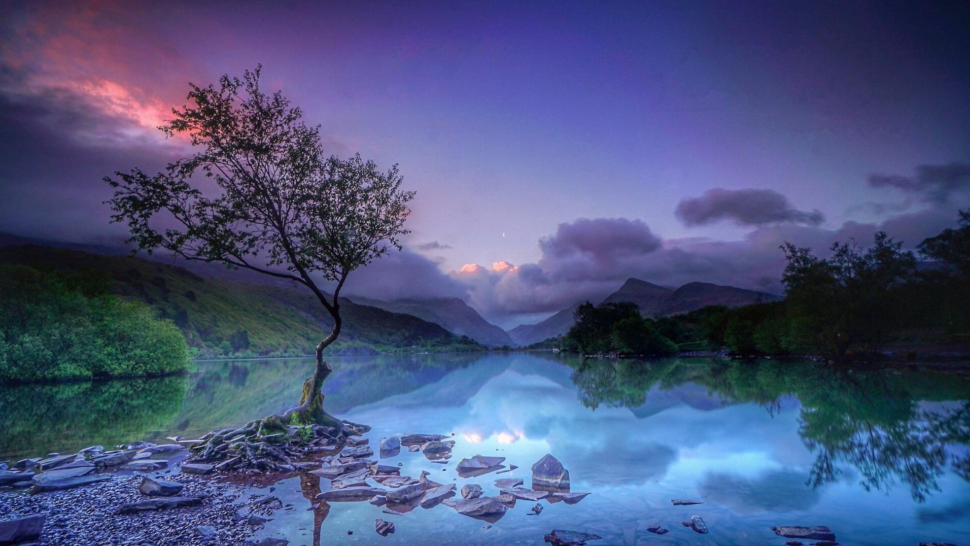 mustafa avsaroglu i have nothing mix cut