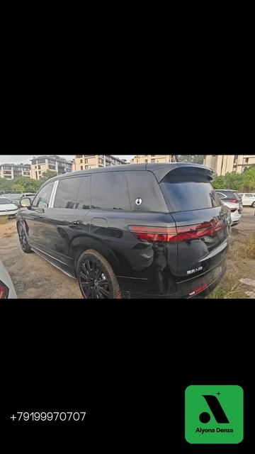 В наличии DENZA N9 2026 black & brown в Москве - арт. 166008 - бронировать сейчас @AlyonaDenza