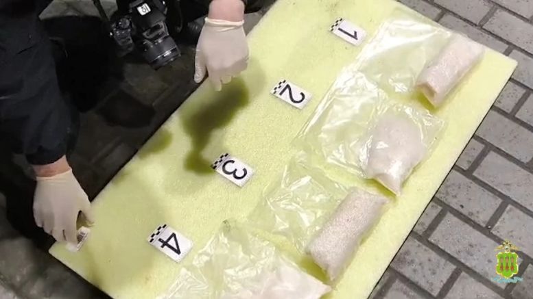 Наркокурьер, задержанный полицией в Пензенской области, использовал для конспирации своего маламута