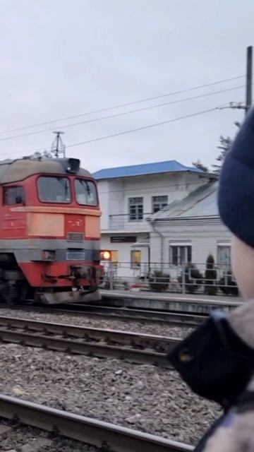 Упорство можно развить