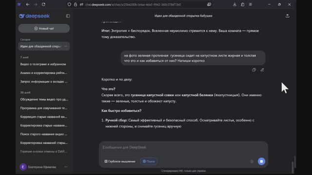 Пока я в огороде, ДипСик определил вредителя и нашёл способ борьбы.