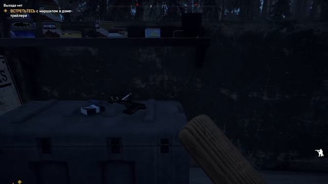 Арестовываем Иосифа в Far cry 5