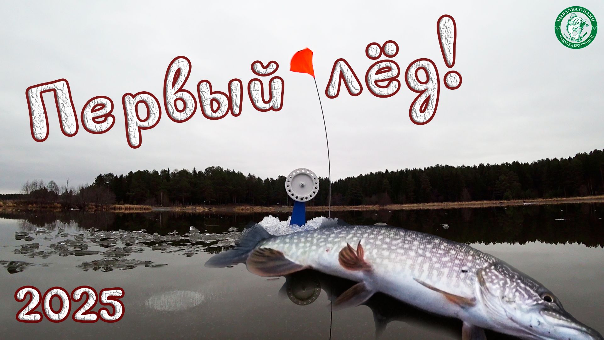 ПЕРВЫЙ ЛЁД 2025! ЩУКА НА ЖЕРЛИЦЫ, РЕАКЦИЯ ЩУКИ НА ЖИВЦА, ПОДВОДНЫЕ СЪЁМКИ, РЫБАЛКА У ДОМА НА УРАЛЕ!