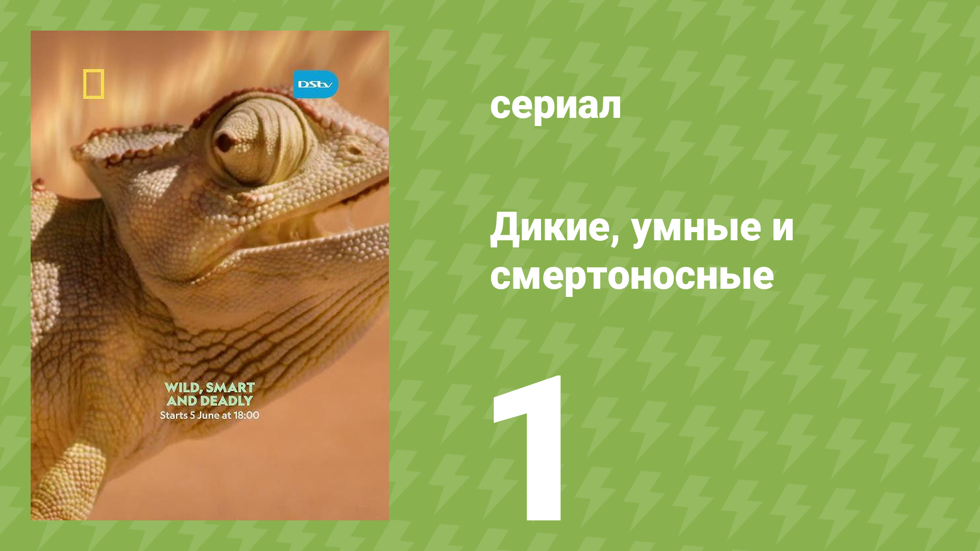 Дикие, умные и смертоносные 1 сезон 1 серия (документальный сериал, 2024)