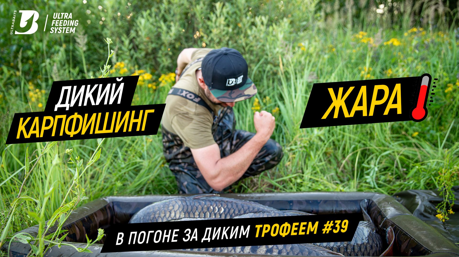Дикий карпфишинг в жаркую погоду. Ловля карпа. В погоне за диким трофеем #39.