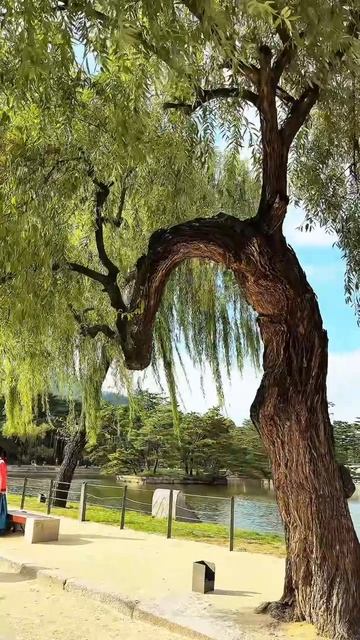 Национальный костюм Кореи