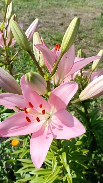 Стихотворение "Берегите себя"