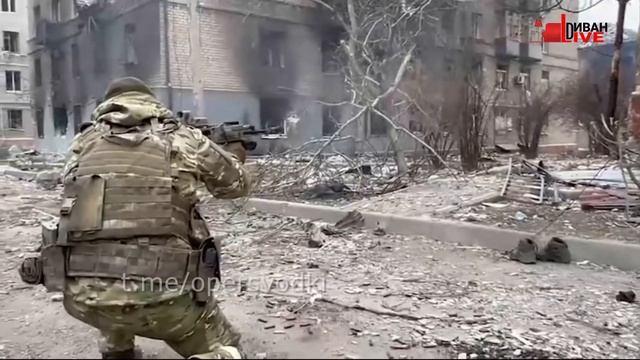 Храбрая бабуля из Донбаса. Вдохновила меня сделать это видео!