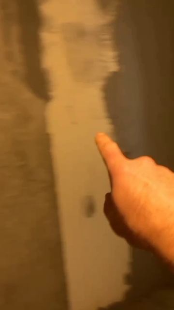 19-11-2025 шпаклёвка стен