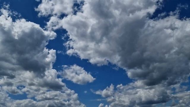 Й.Гайдн. Симфония №45, фа диез минор, 1часть. J. Haydn. Symphony No. 45, F sharp minor, 1 movement