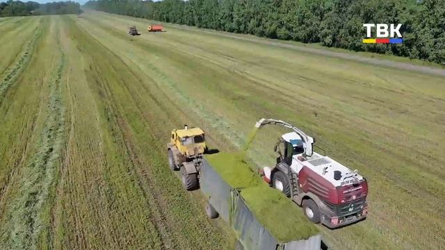 «Урожай – 2025. Выращено в Искитимском районе»