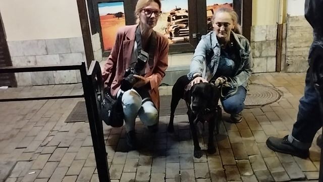 Юля Приходько @ Жил Был Пёс @ Money Honey @ Моя Жизнь Кино @ Музей Псов